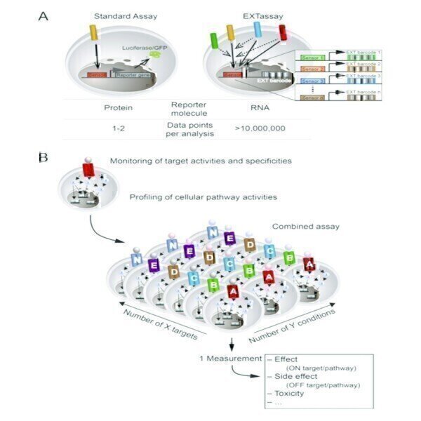 Ultrapure Water as a Component of Multi-Parametric Assays Used in Drug ...