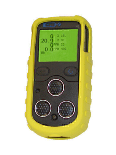 Enhanced portable multi gas detector Envirotech Online