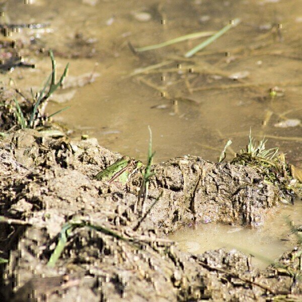 What Are the Dangers of Poor Water Quality? Envirotech Online