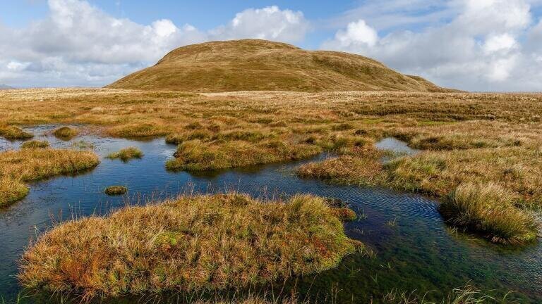Natural England releases first full map of UK peat Envirotech Online