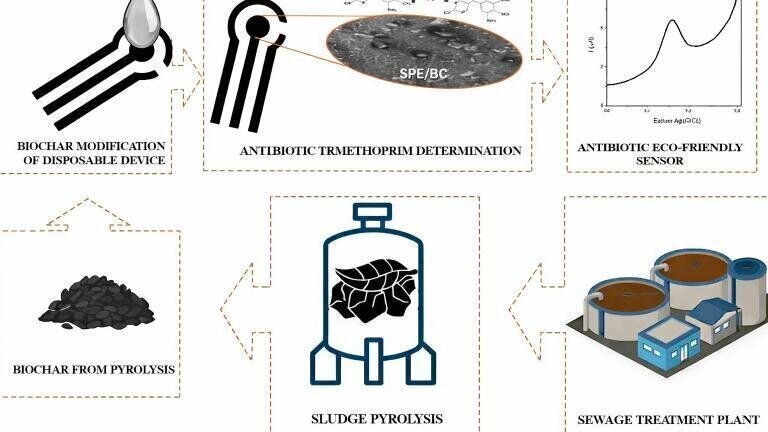 Turning sewage waste into a smart sensor for tracking antibiotic ...